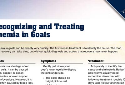 Goat Notes — Goat Care Cheat Sheets for Backyard Goats Members